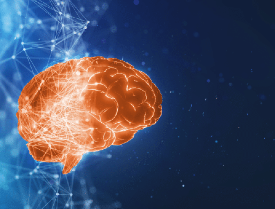 Machine Learning vs Rule-Based Systems - Socure